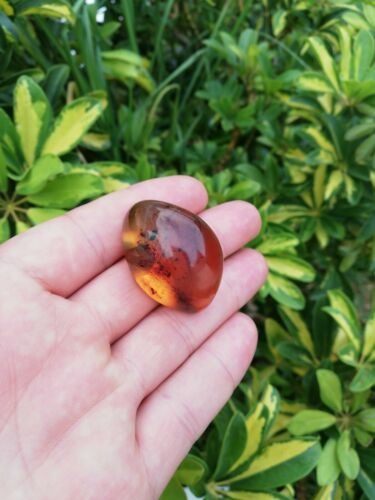 Red green Mexican Amber 10g Good round shape and flat base - Mayan Copal