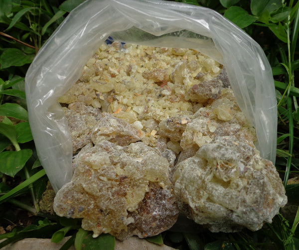 Mayan Fine Copal Resin Clean With No Bark - Mayan Copal