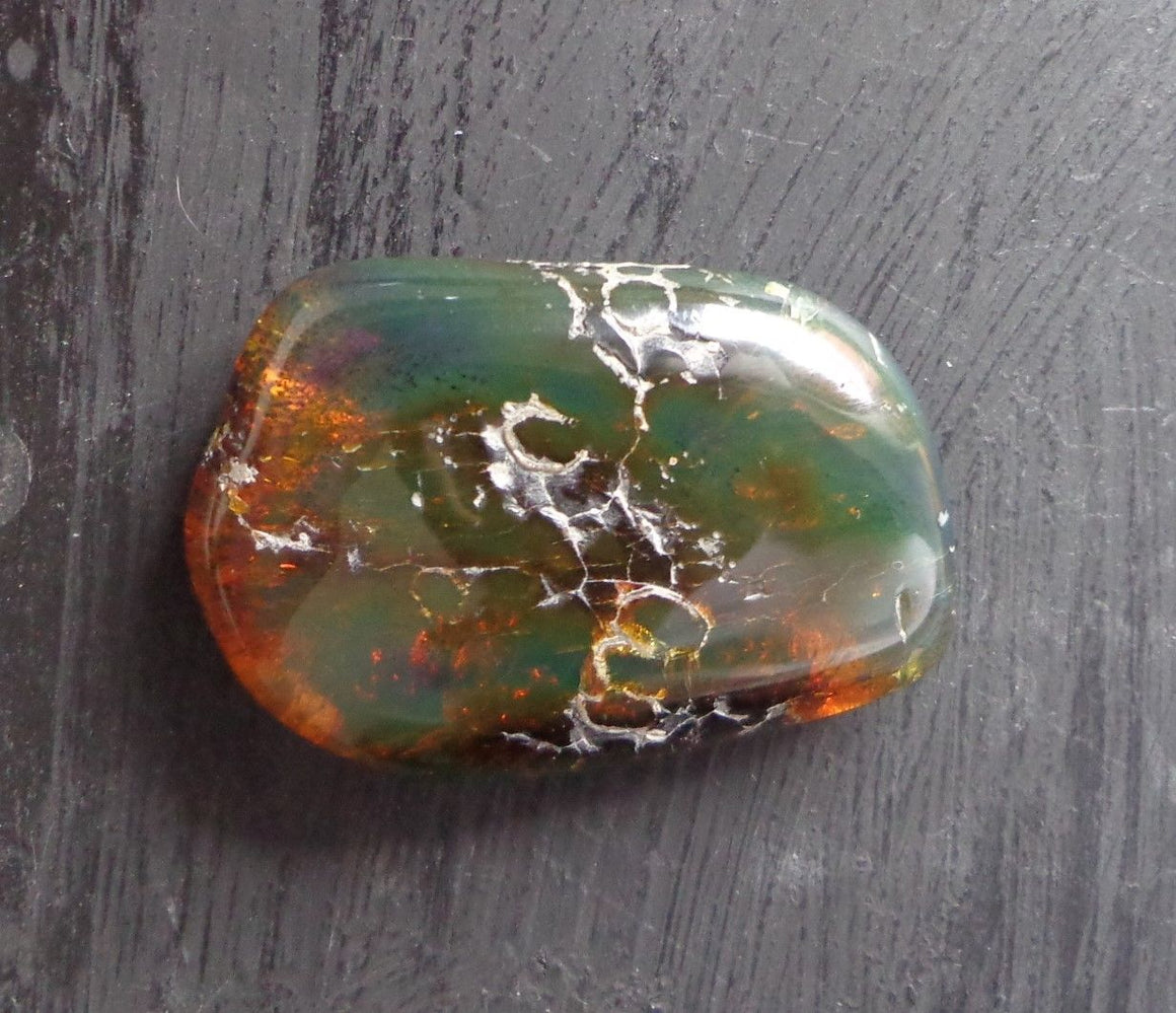 Blue Green Mexican Amber Resin Fossil Top Polished with Moss Inclusion ...